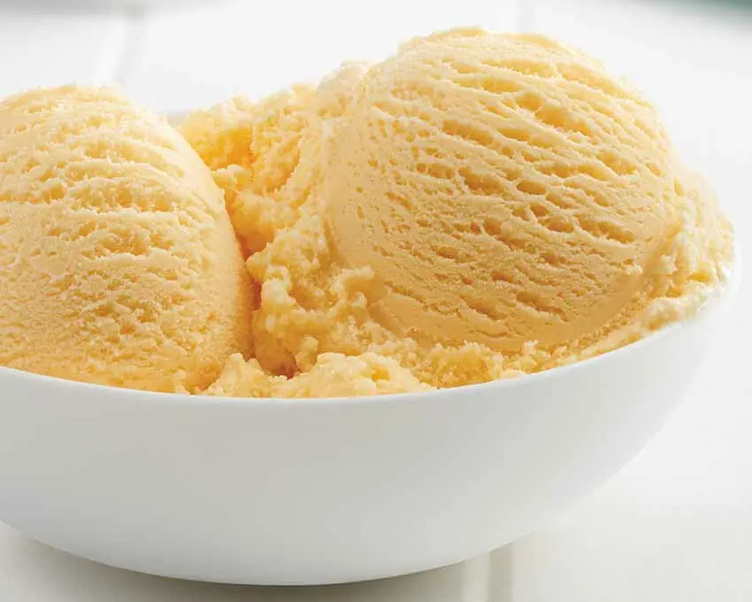 Classic Vanilla Ice Cream Gallon | Yelloh Grocery Delivery